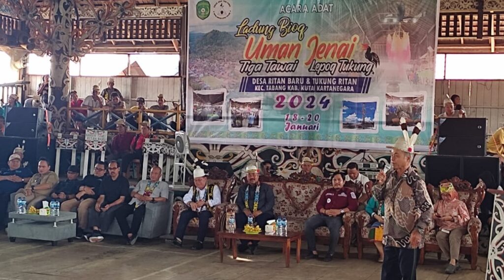 Uman Jenai, Tradisi Panen Dayak Kenyah yang Berdampak Ekonomis ...